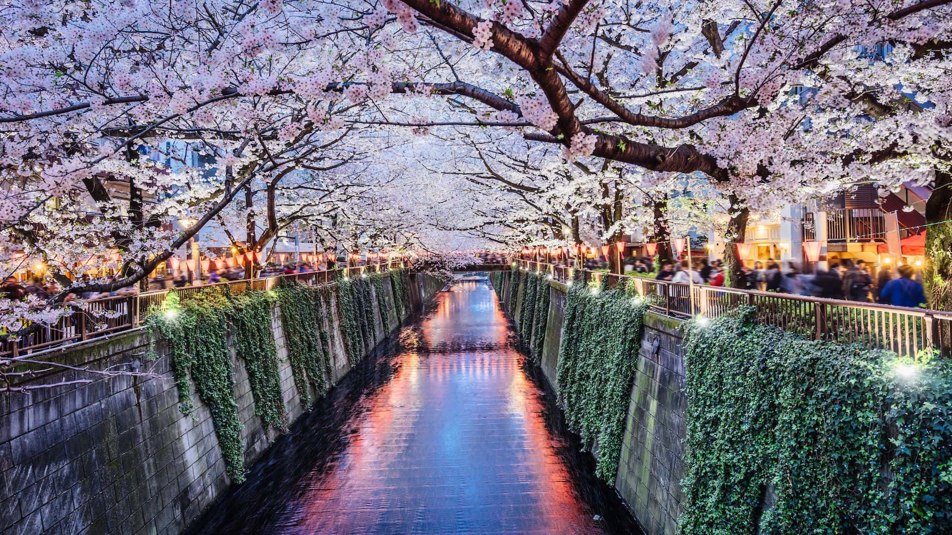 Meguro Area Guide | Luxury Real Estate In Tokyo