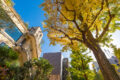 Shirokane | Tokyo Area Guide | Residential