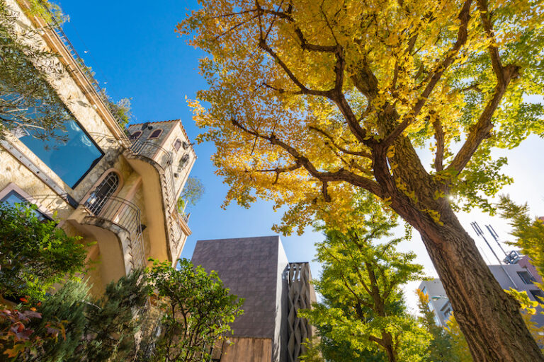 Shirokane | Tokyo Area Guide | Residential
