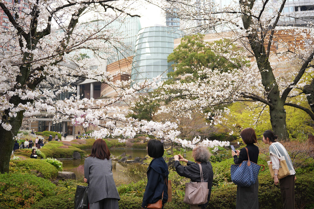 Parks and Gardens in Tokyo: A Guide by Ward
