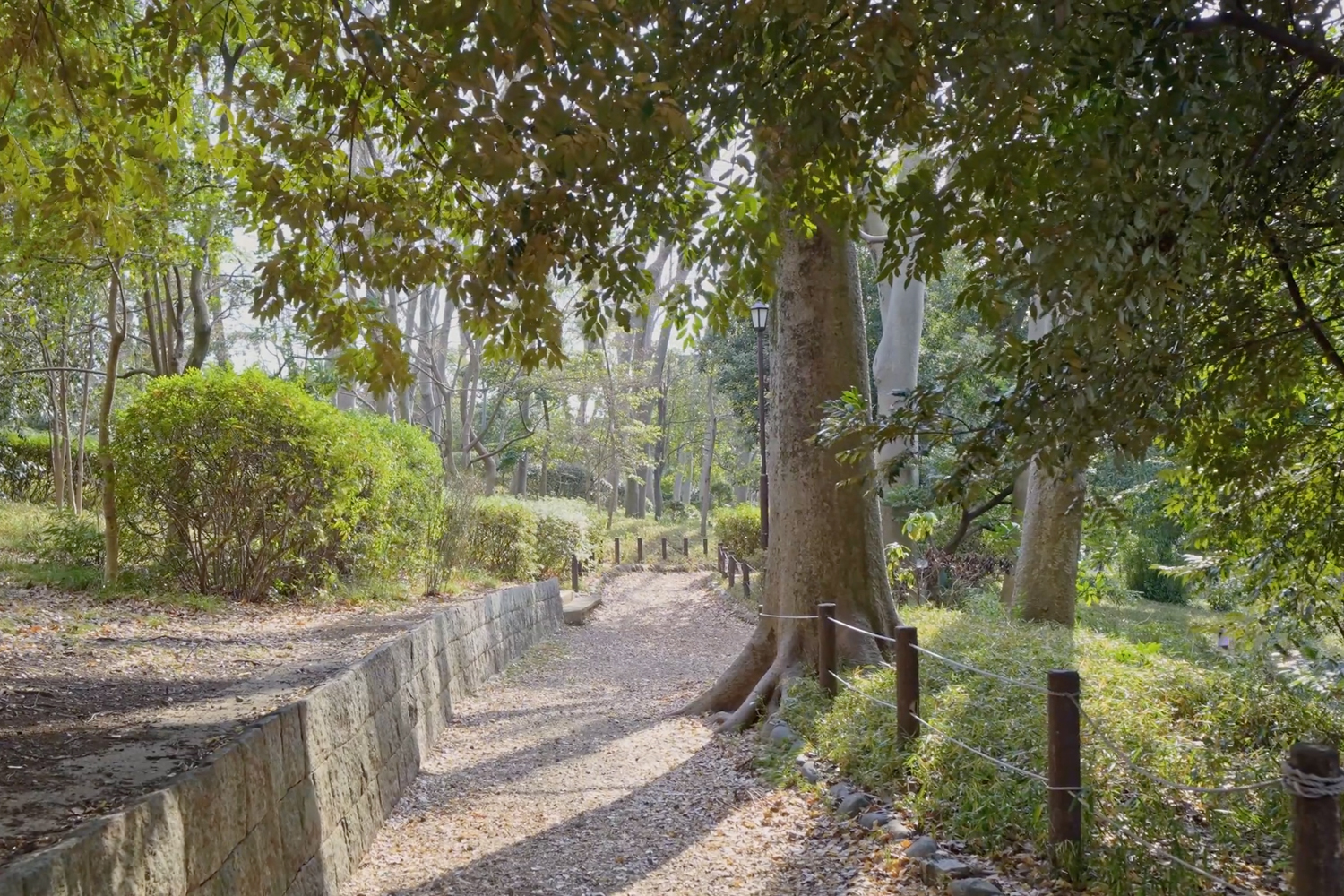 Azabu Tokyo Area Guide | Luxury Real Estate In Japan