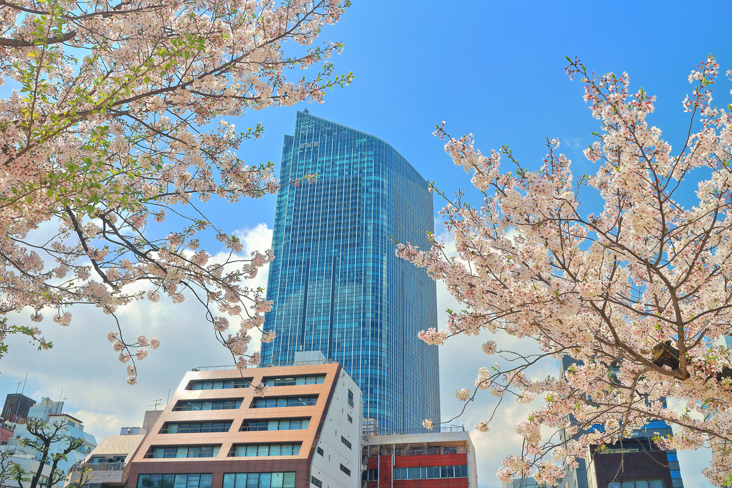 Toranomon Area Guide | Luxury Real Estate In Tokyo