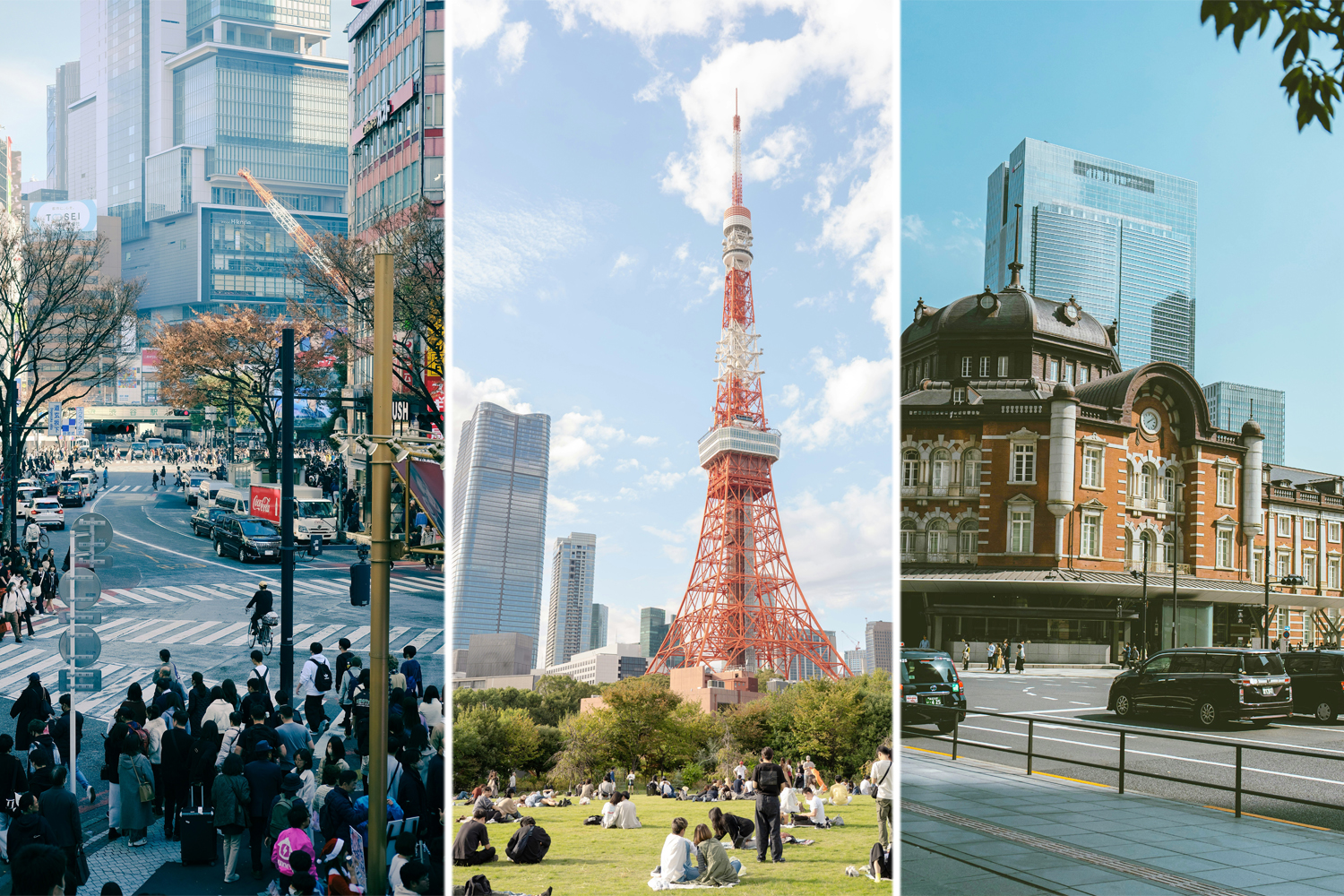 Your Guide to the Top 3 Wealthiest Wards in Tokyo | Housing Japan