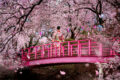 2026 Japan Public Holidays Calendar: Golden Week, Silver Week ...