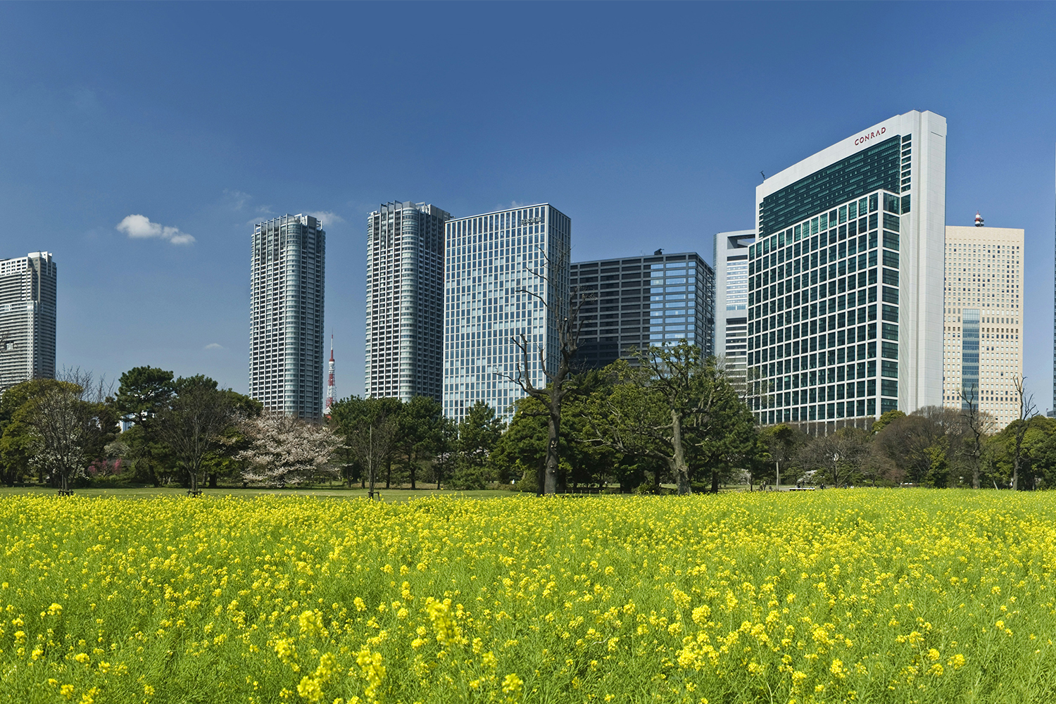Tokyo Leads the World by GDP in 2025 | Housing Japan