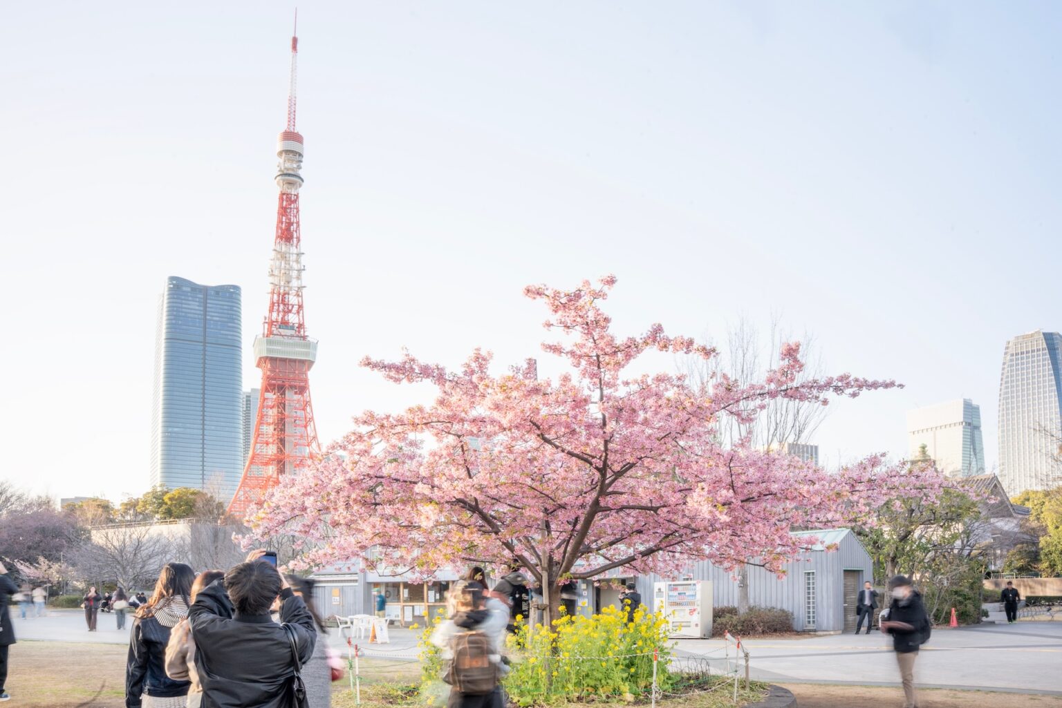 Japan Land Prices 2026: What the Latest Government Report Means for ...